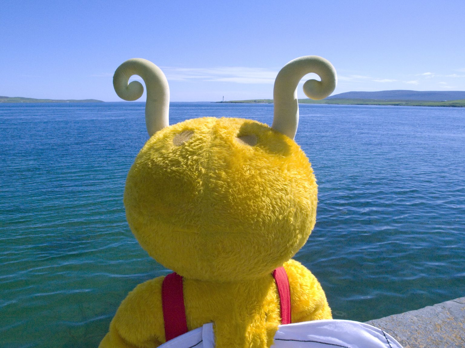 Bookbug - Orkney Library & Archive