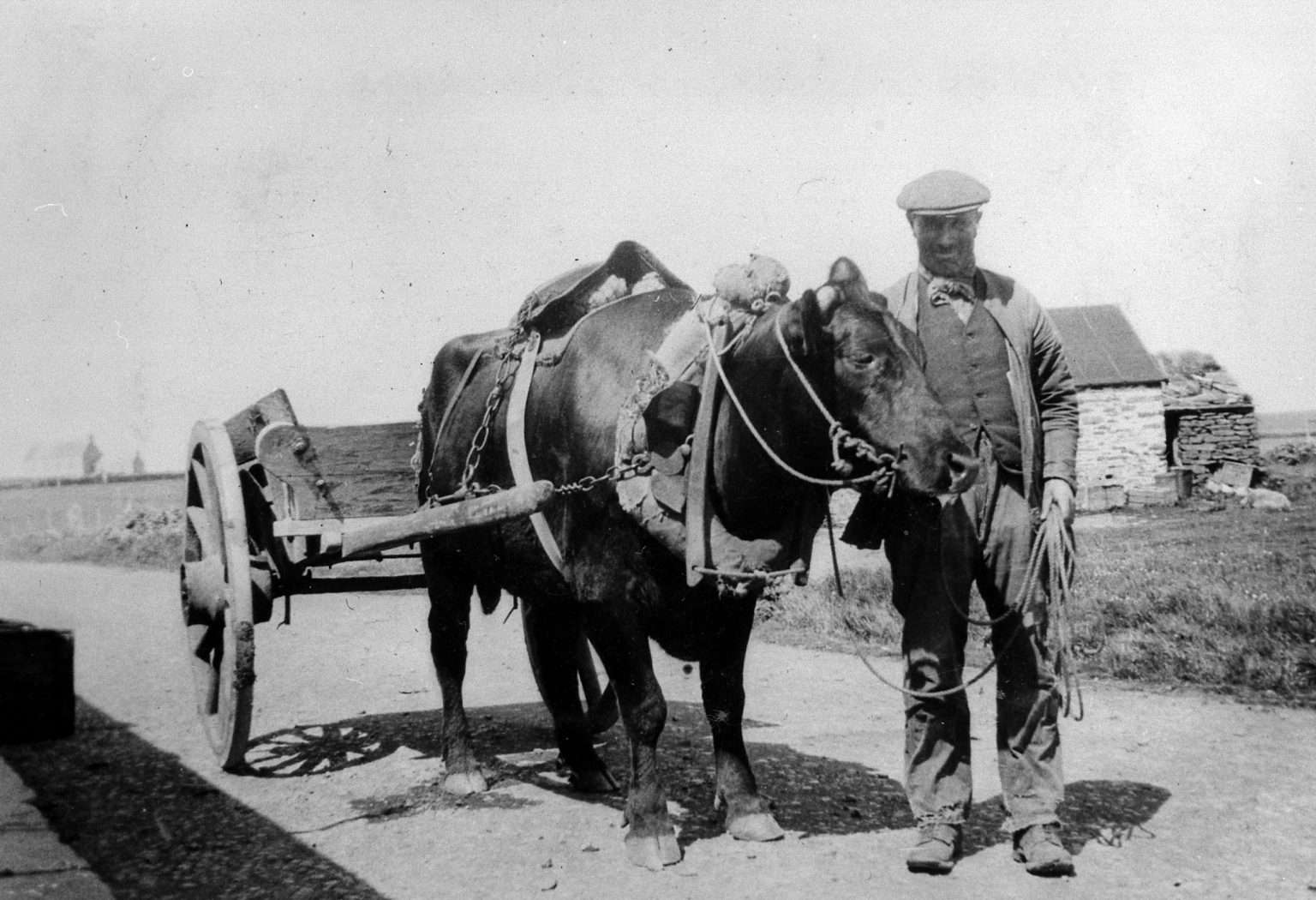 Beatrice Garvie - Orkney Library & Archive
