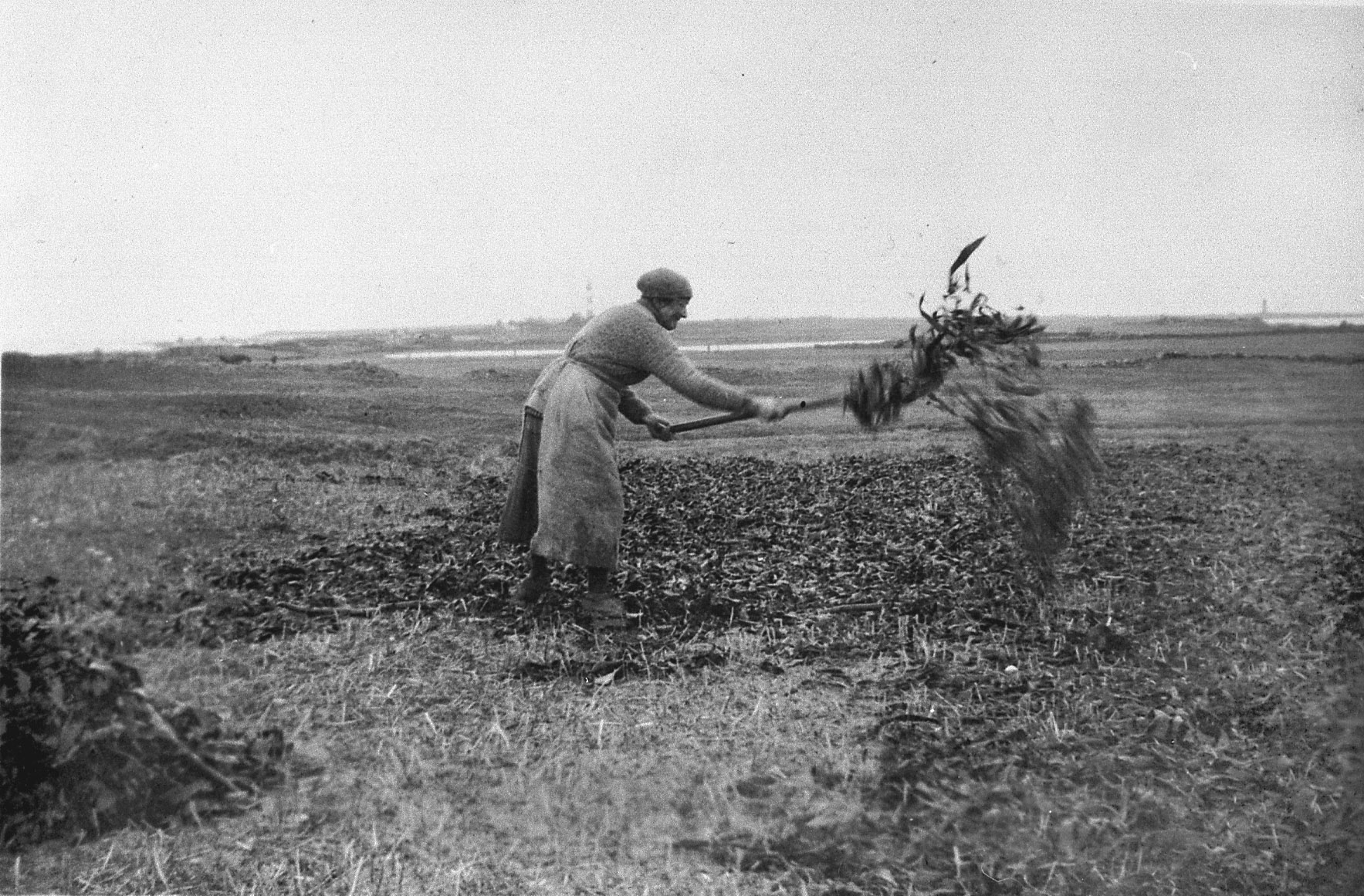 Beatrice Garvie - Orkney Library & Archive