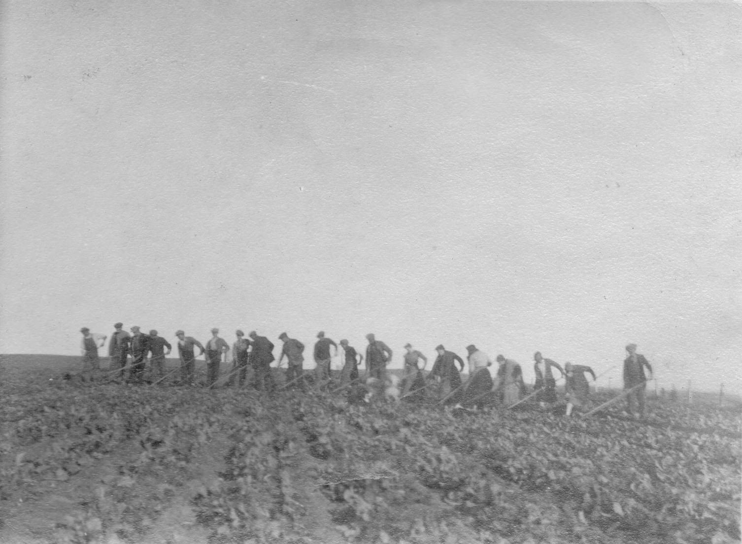 Beatrice Garvie - Orkney Library & Archive